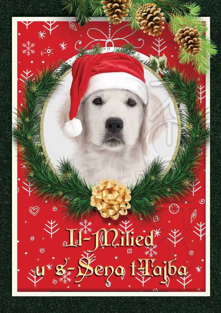 White Dog - Christmas Card - nsejt.mt